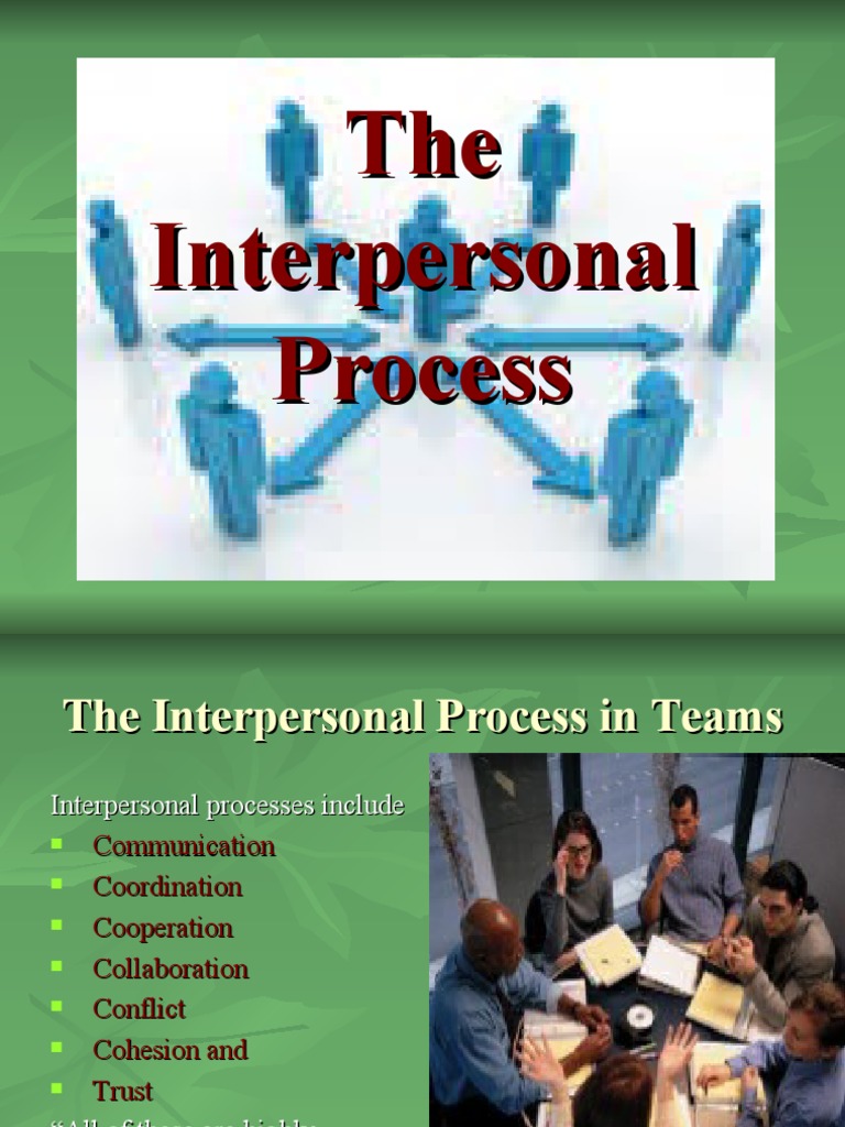 The Interpersonal Process - 1 | PDF | Communication | Behavior