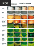 Efron Grading Scale Us Insert | PDF | Science & Mathematics