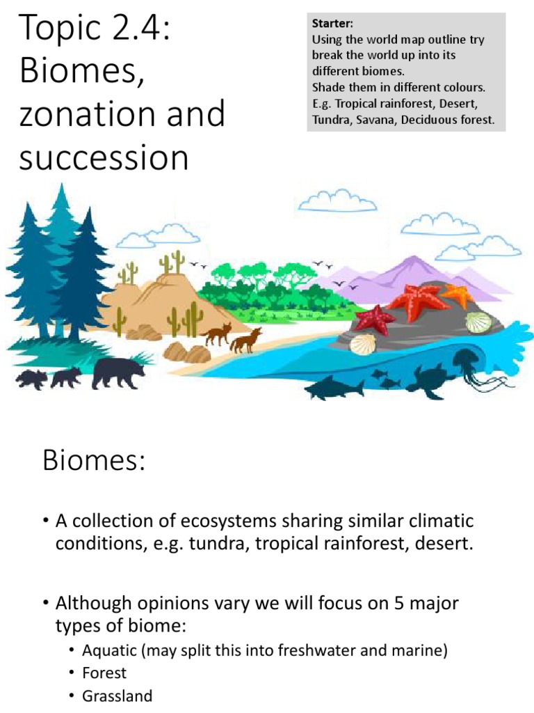 2.4 Biomes Zonation and Succession | PDF | Precipitation | Tropics