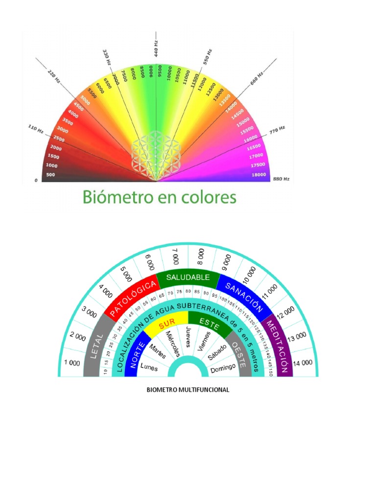 Biometros para Trabajar Con Pendulo | PDF