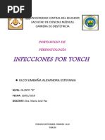 Sindrome de Torch | PDF | Herpes Simple | El embarazo