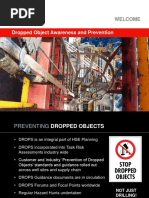 Dropped Objects Training Presentation | PDF | Career & Growth | Business