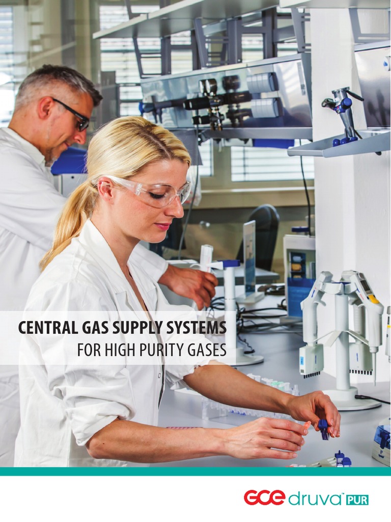 Central Gas Supply Systems For HP Gases 2016 V000305 | PDF | Gases ...