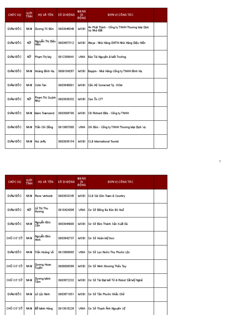 2 - DS 5.700 Chi Tiet Giam Doc Tai TPHCM | PDF