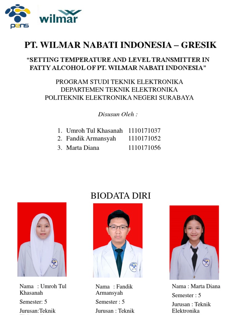 PT - Wilmar Nabati Indonesia | PDF