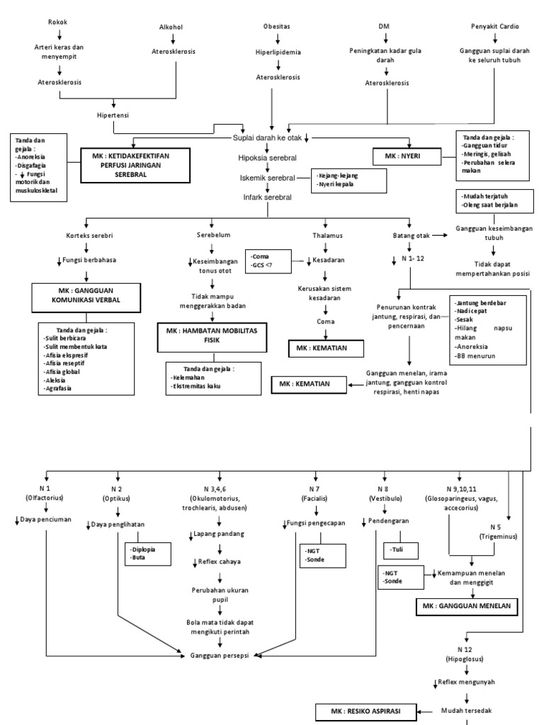 Pathway Infark Serebri | PDF