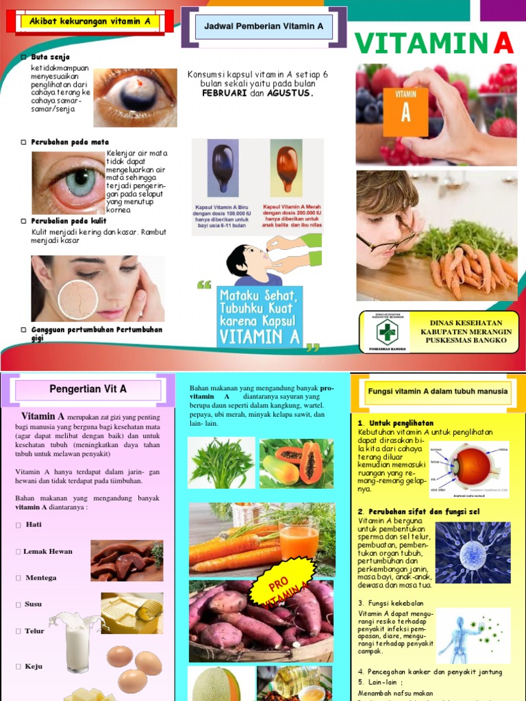 Leaflet Vitamin A | PDF
