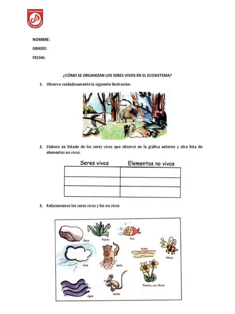 Cómo Se Organizan Los Seres Vivos en El Ecosistema | PDF | Ciencias sociales | Estudios de ...
