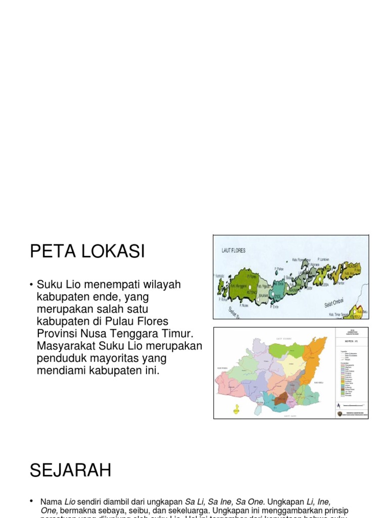 Tugas Sejarah Teori Arsitektur Nusantara - Rumah Adat Suku Ende Lio | PDF