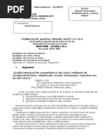 PROIECT DIDACTIC - Model Structural | PDF