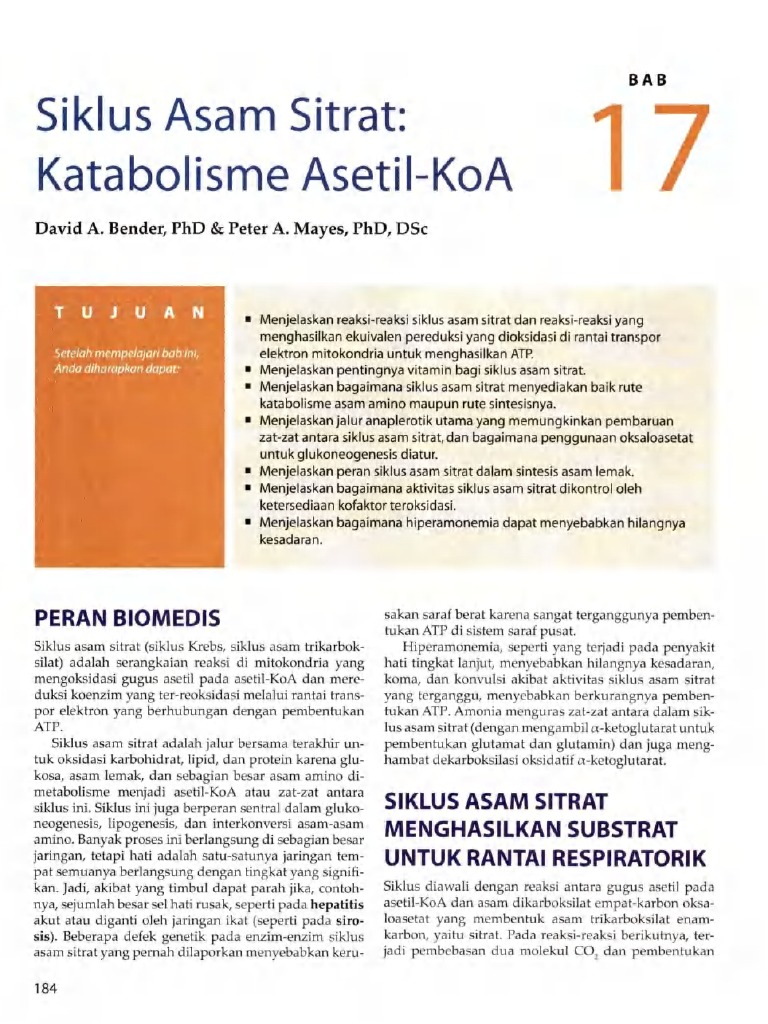 Bab 17 Siklus Asam Sitrat - Katabolisme Asetil-KoA | PDF