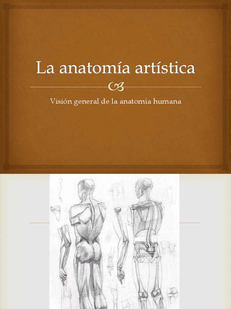 La Anatomía Artística | PDF