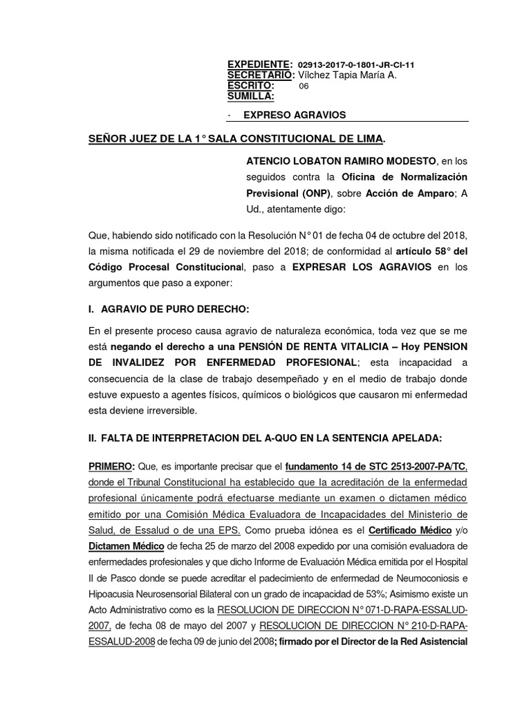 Modelo Expresión de Agravios | PDF | Igualdad de género | Estudios de ...