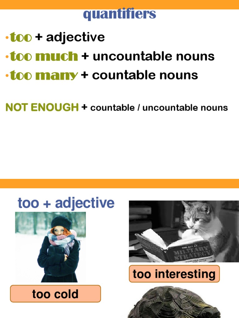 Too Much Too Many Not Enough | PDF | Language Arts & Discipline | Self ...