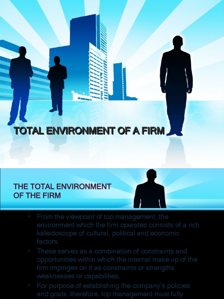 Understanding the Total Environment of a Firm: An Analysis of External ...
