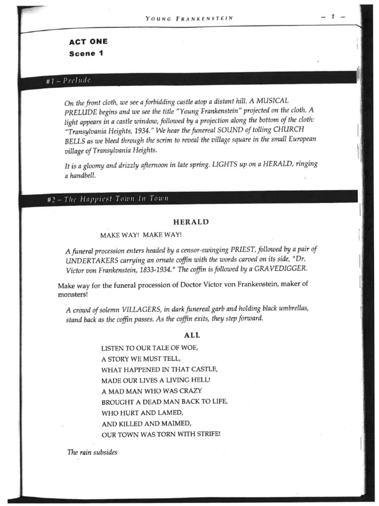 Young Frankenstein SCRIPT PDF | PDF