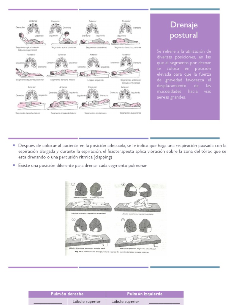 Drenaje Postural | PDF | Pulmón | Medicina CLINICA