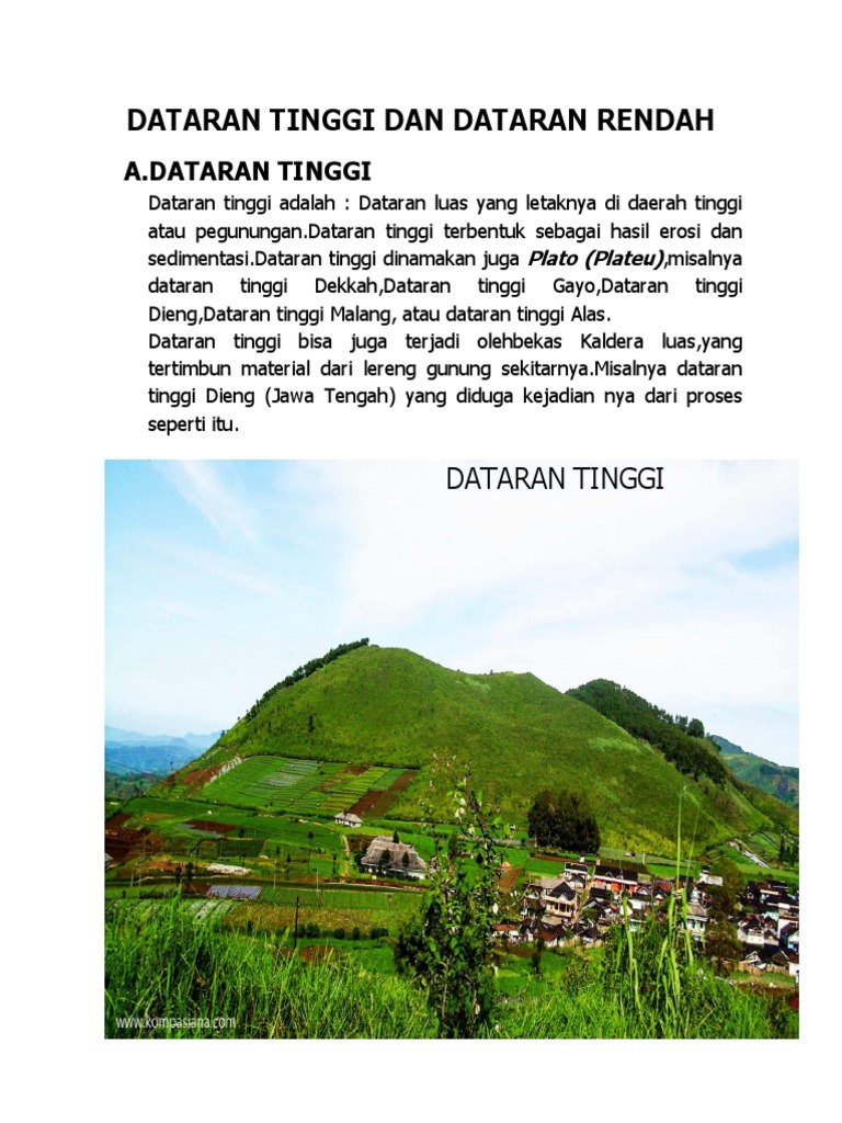 Dataran Tinggi Dan Dataran Rendah | PDF | Griya & Taman