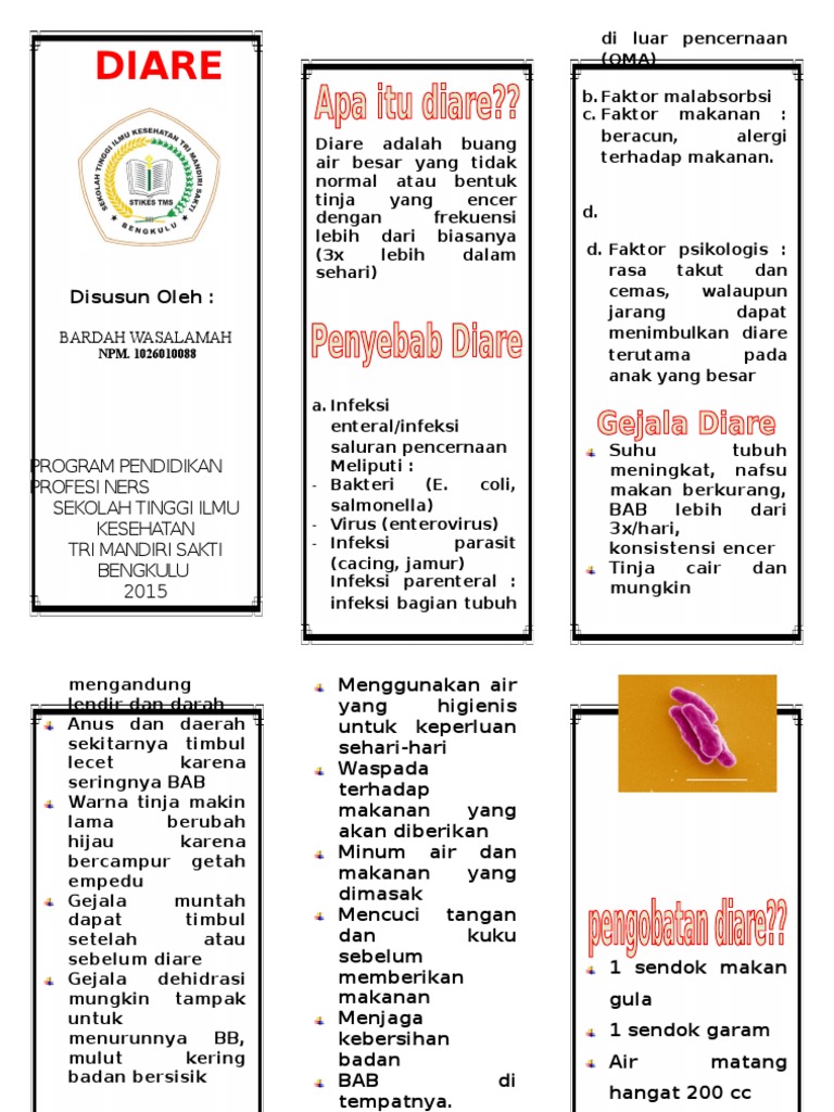 Leaflet Diare | PDF
