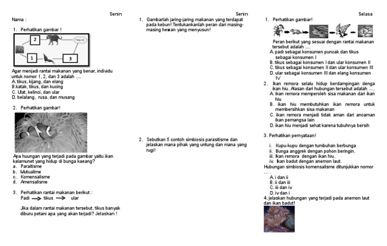 1 Soal Simbiosis Dan Rantai Makanan | PDF