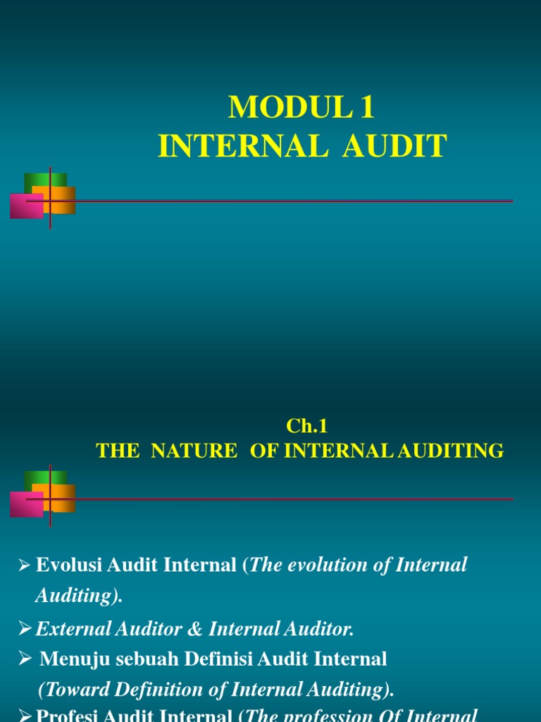 Modul 1 - The Nature of Internal Auditing | PDF | Pengelolaan Keuangan & Uang