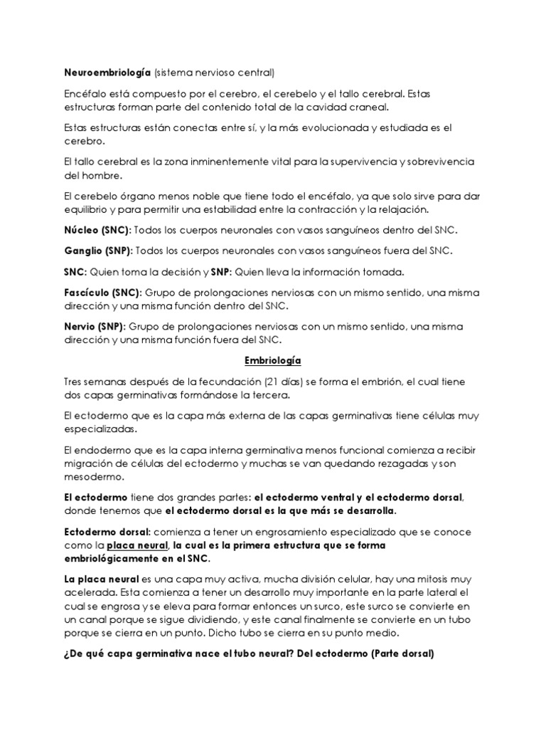 Neuroembriología | Descargar gratis PDF | Médula espinal | Sistema ...