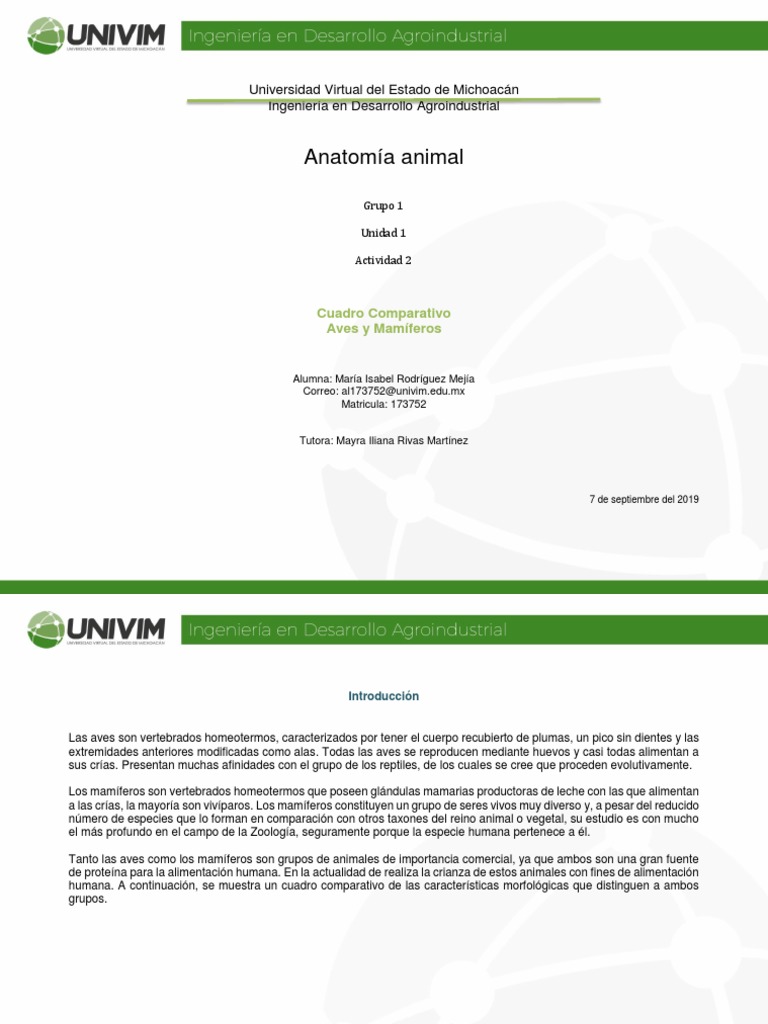 Cuadro Aves y Mamíferos | PDF | Sistema tegumentario | Digestión