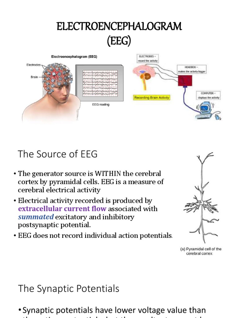 Seizures Eeg Good | PDF | Inhibitory Postsynaptic Potential ...
