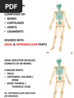 Unlabeled Axial Skeleton Overview | PDF | Skull | Skeletal System