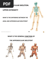 Joint Mobilization - Upper Extremity | PDF | Elbow | Hand