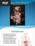 Grade 11 DIGESTIVE SYSTEM LECTURE NOTES | PDF | Human Digestive System ...