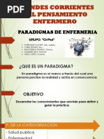 Modelo de Enfermería de Nancy Roper | PDF | Enfermería | Teoría