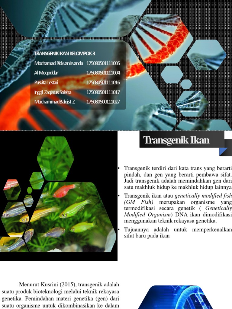 Biotek Kelompok 3 | PDF