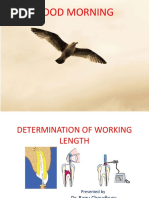 14.endodontic Working Width - Dr. Saloni | PDF | Mouth | Dentistry