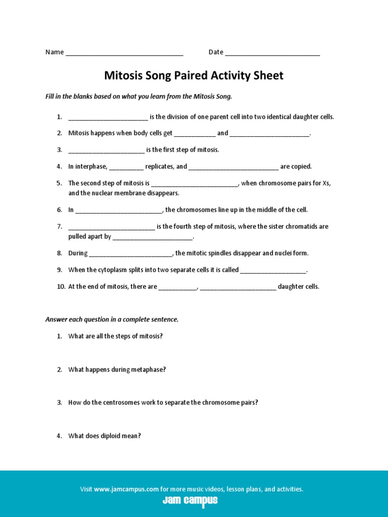 The Mitosis Song Paired Activities Sheet PDF | PDF | Mitosis ...
