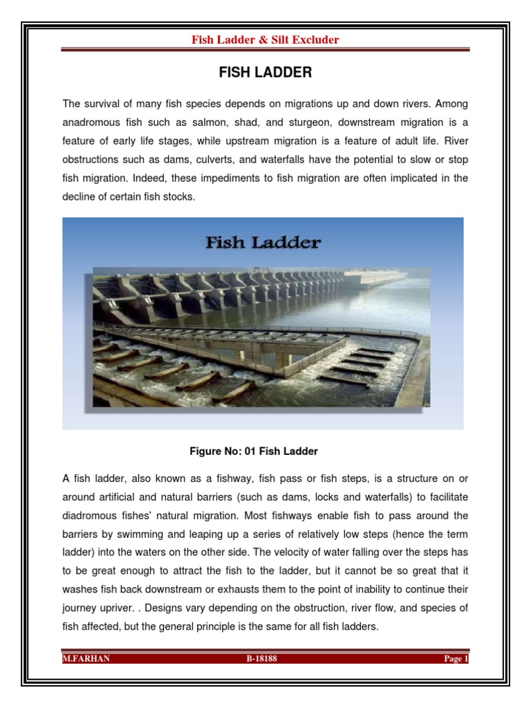 Fish Ladder | PDF | Hydrology | Water