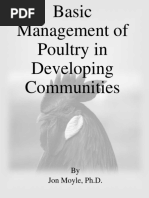 Road Runner Chicken Farming in Zimbabwe | PDF | Chicken | Egg