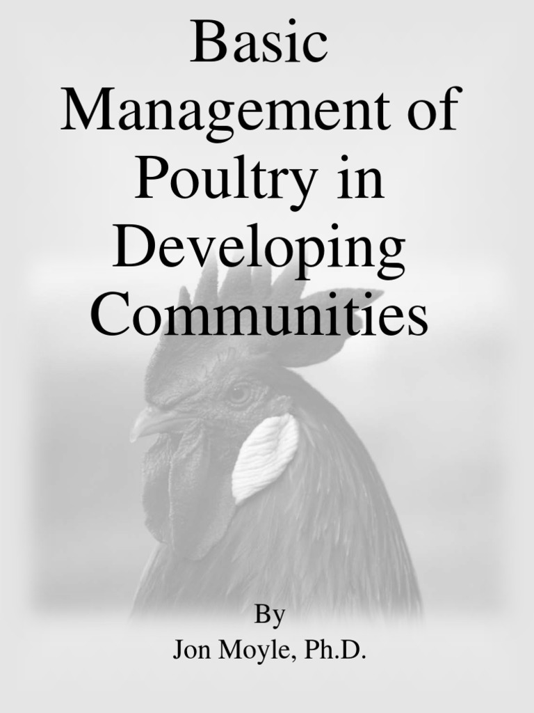 Basic Management of Intensive Poultry Production 11-14-16 PDF | PDF ...