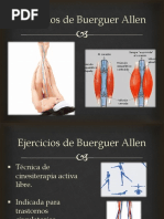 Ejercicios de Buerger Allen | PDF