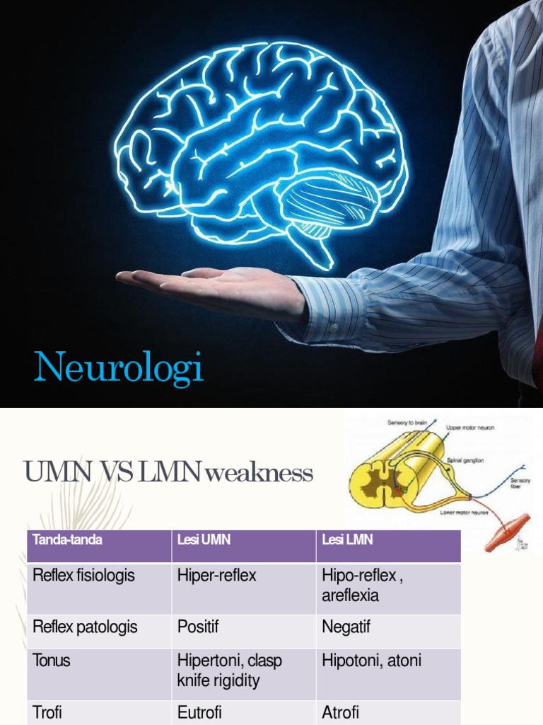 Materi Neurologi | PDF
