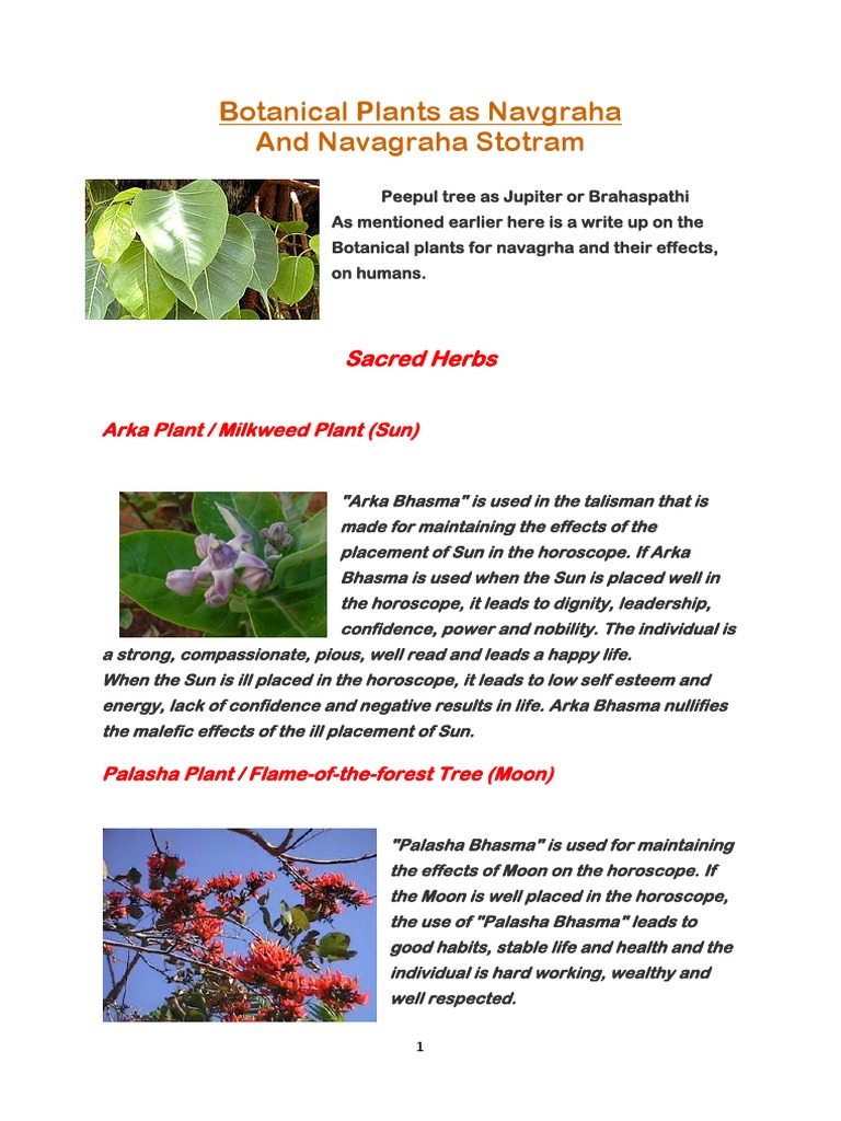 Understanding the Connection Between Botanical Plants and Navagraha in ...