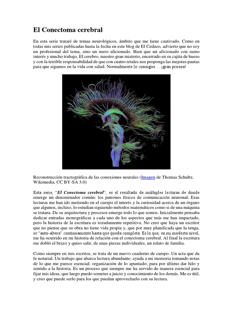 El Conectoma Cerebral | PDF | Neurona | Sinapsis