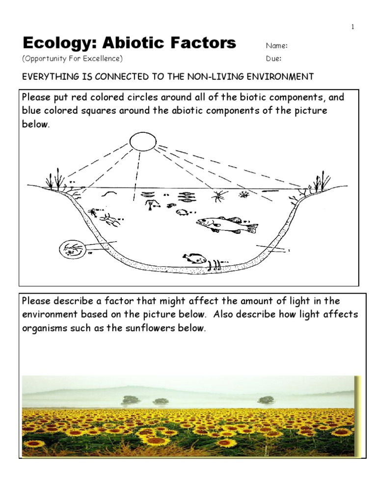 Ecology Abiotic Factors Unit Assessment / Homework For Educators ...
