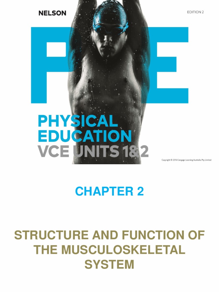 Nelson VCE PE PPT | Muscle Contraction | Human Musculoskeletal System
