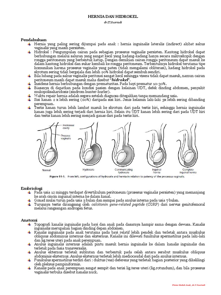Penanganan Hernia dan Hidrokel Anak | PDF | Ilmu Sosial