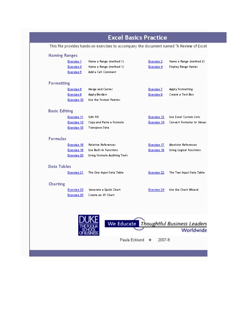 Basics Practice | PDF | Microsoft Excel | Computing