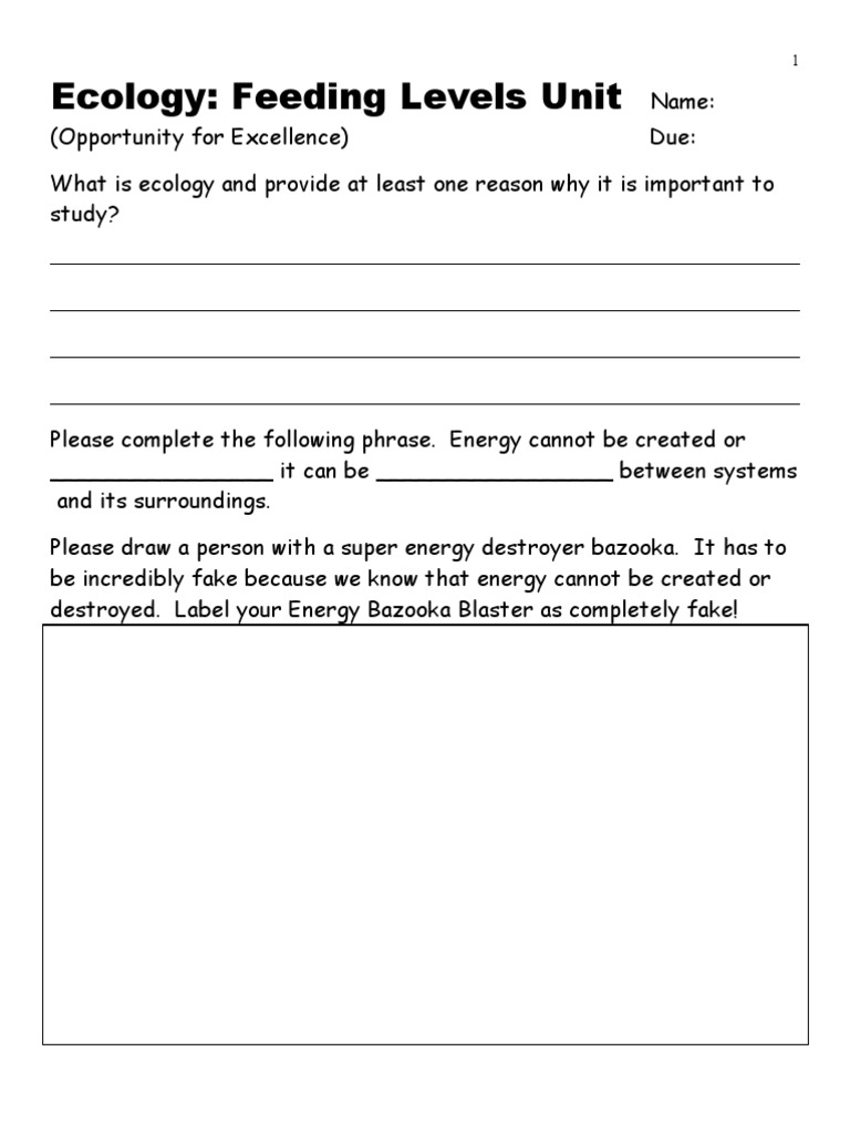 Ecology Feeding Levels Assessment / Homework For Educators - Download ...