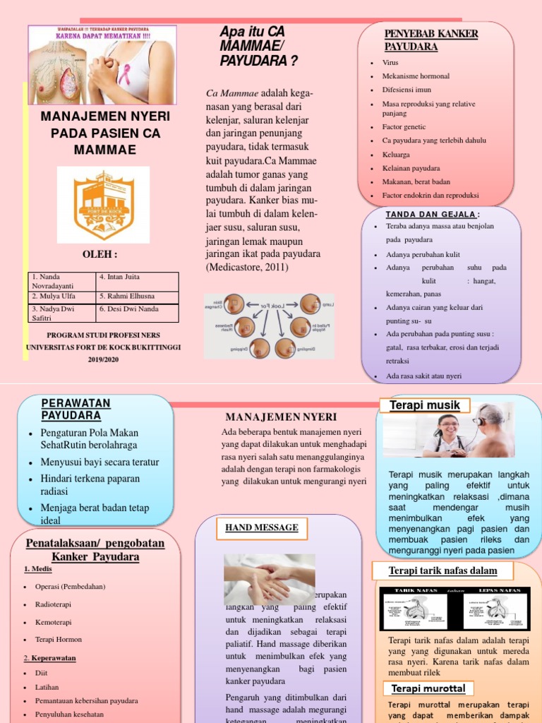 Leaflet Ca Mamae | PDF