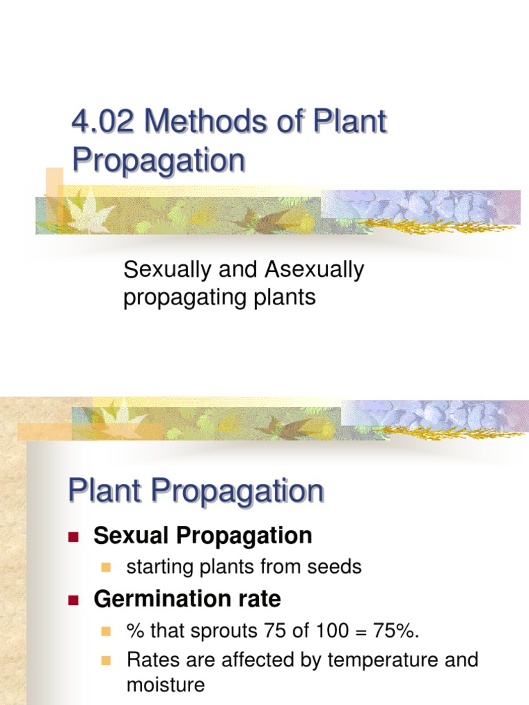4.02 Plant Propagation | PDF | Grafting | Seed