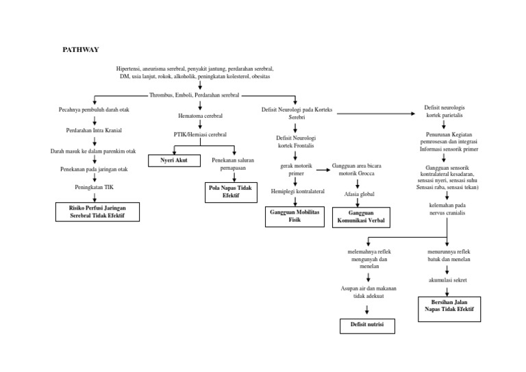 3 Pathway Stroke SNH-1 | PDF